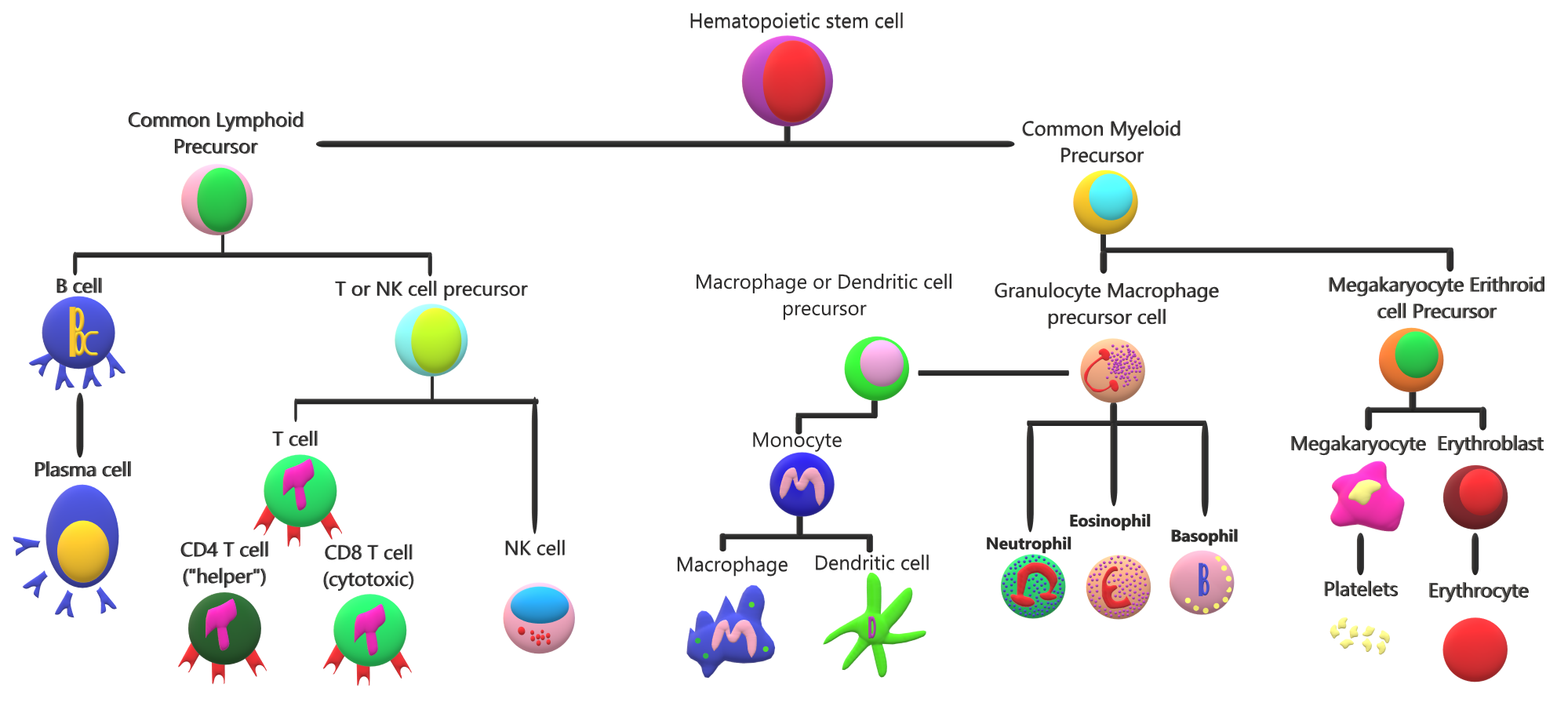 COVID-19 research update – Ourcellves